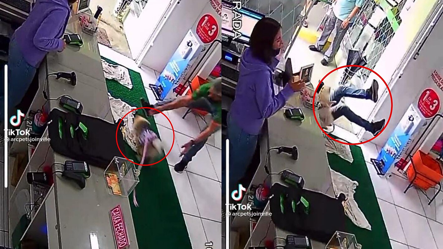 Funcionário de pet shop se joga no chão e consegue evitar fuga de cachorrinha; vídeo