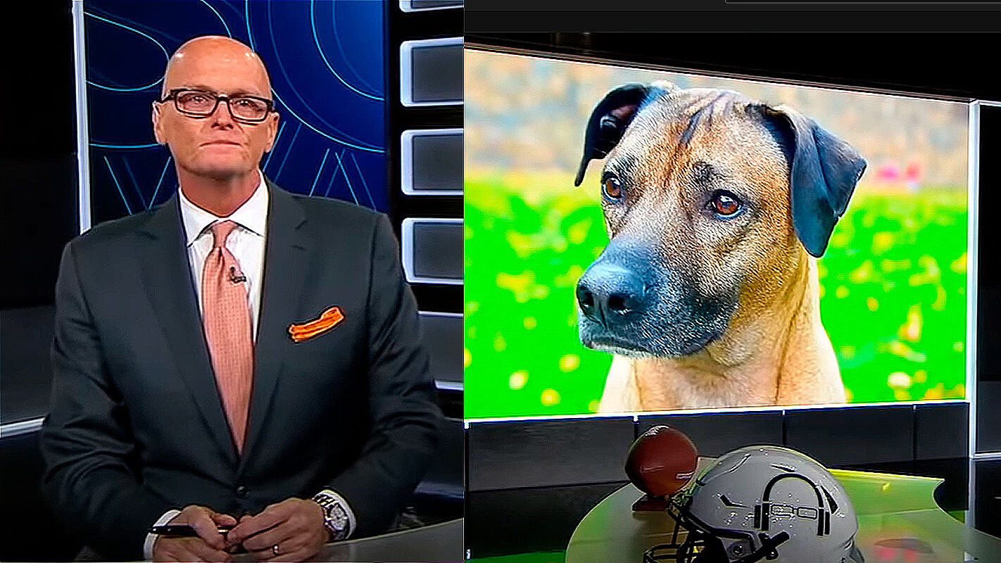 Apresentador da ESPN não contém emoção ao homenagear seu cachorro ...