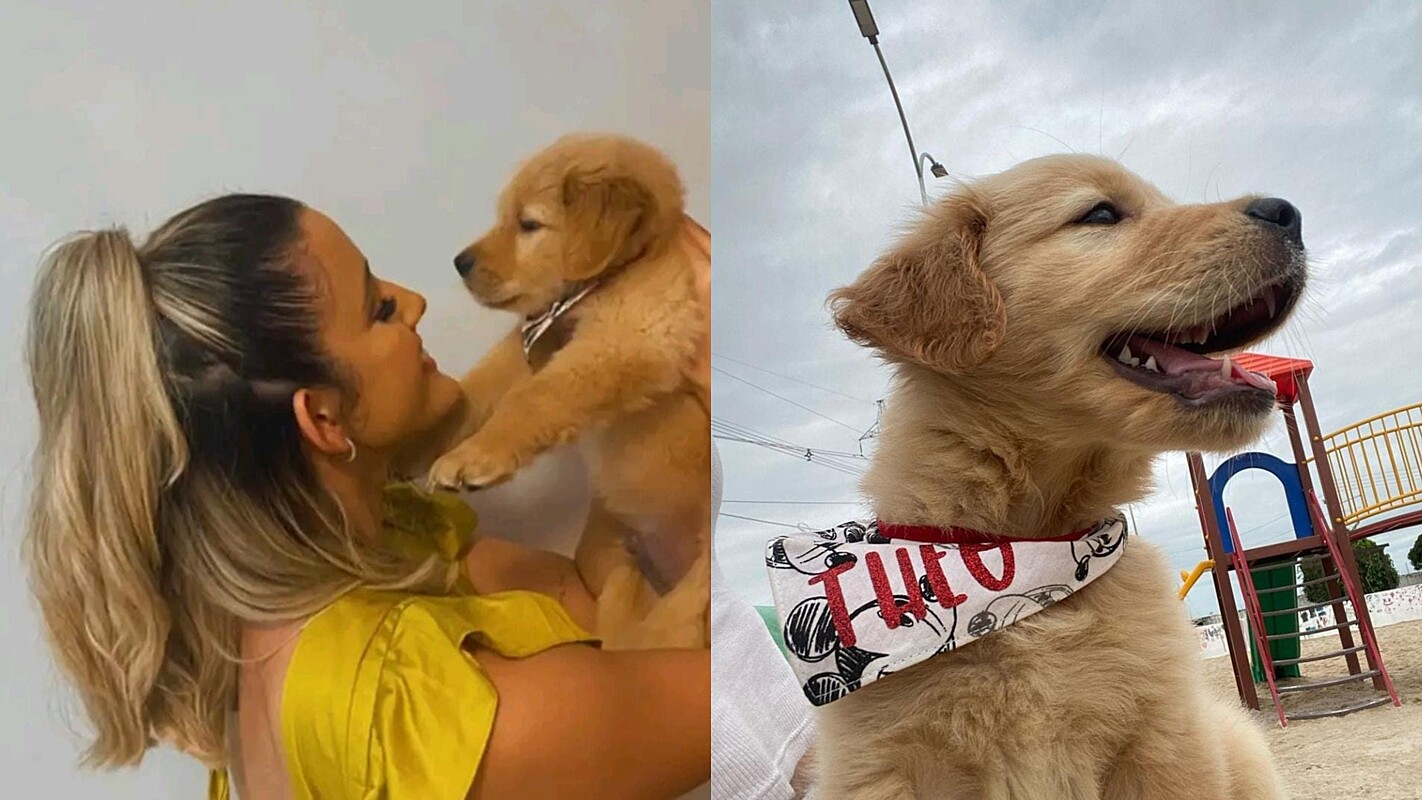 Golden se tranca acidentalmente em quarto e recusa petiscos até ser ...