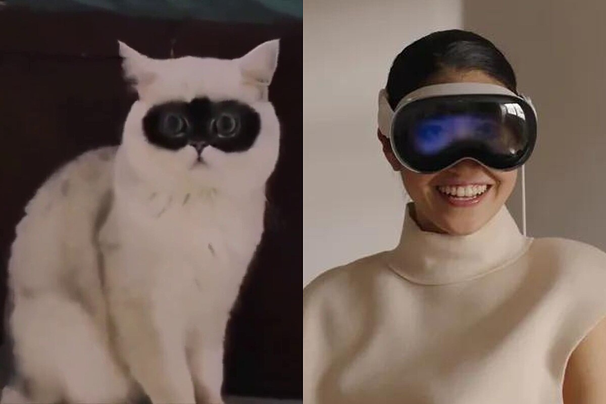 Gato com manchas nos olhos viraliza por 'usar' óculos Apple Vision Pro