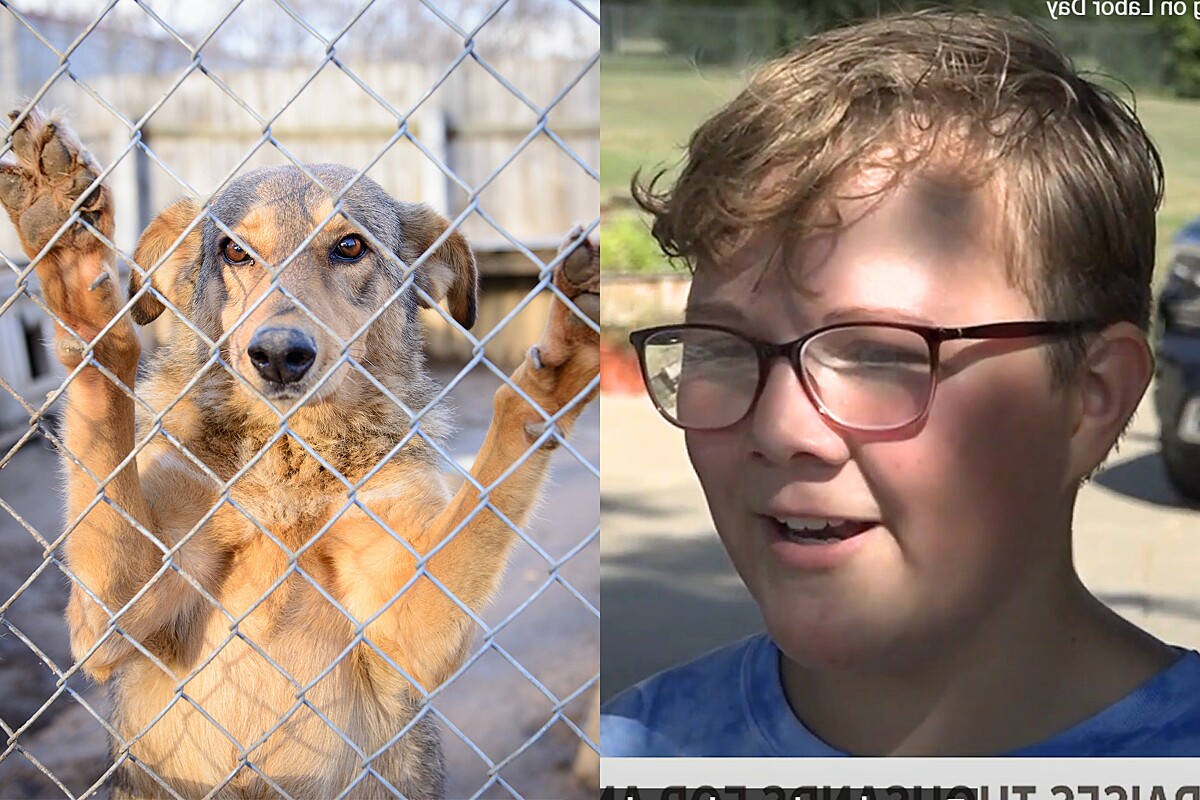 Menino de 12 anos vende limonadas para ajudar abrigo de animais