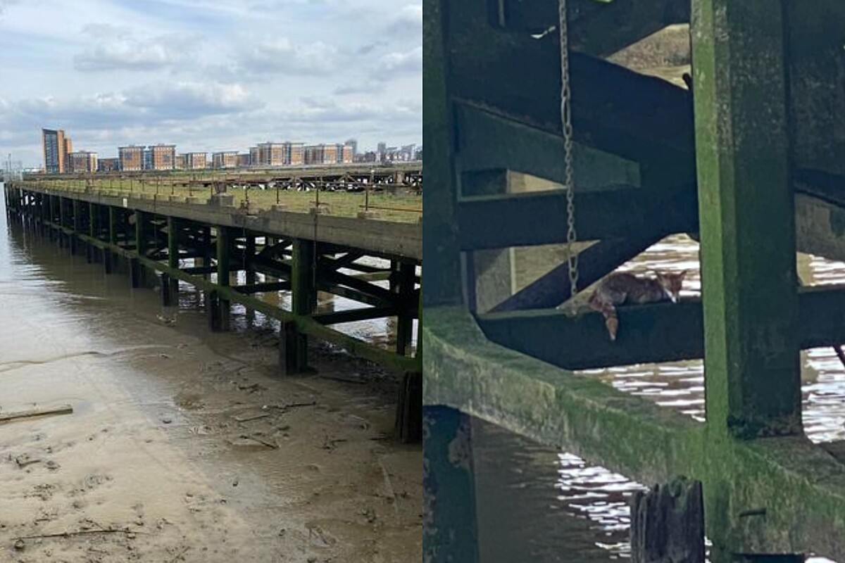 Socorristas correm contra maré crescente para resgatar alguém preso sob ...