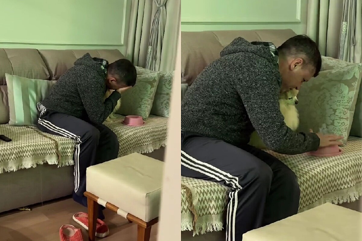 Filha flagra o que pai foi capaz de fazer para que cachorrinha da ...