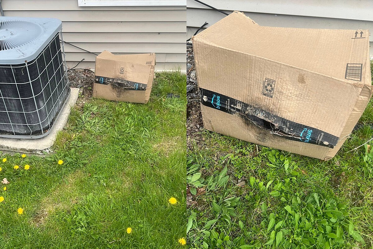 Equipe encontra caixa da Amazon toda amassada - tinha três rostinhos ...