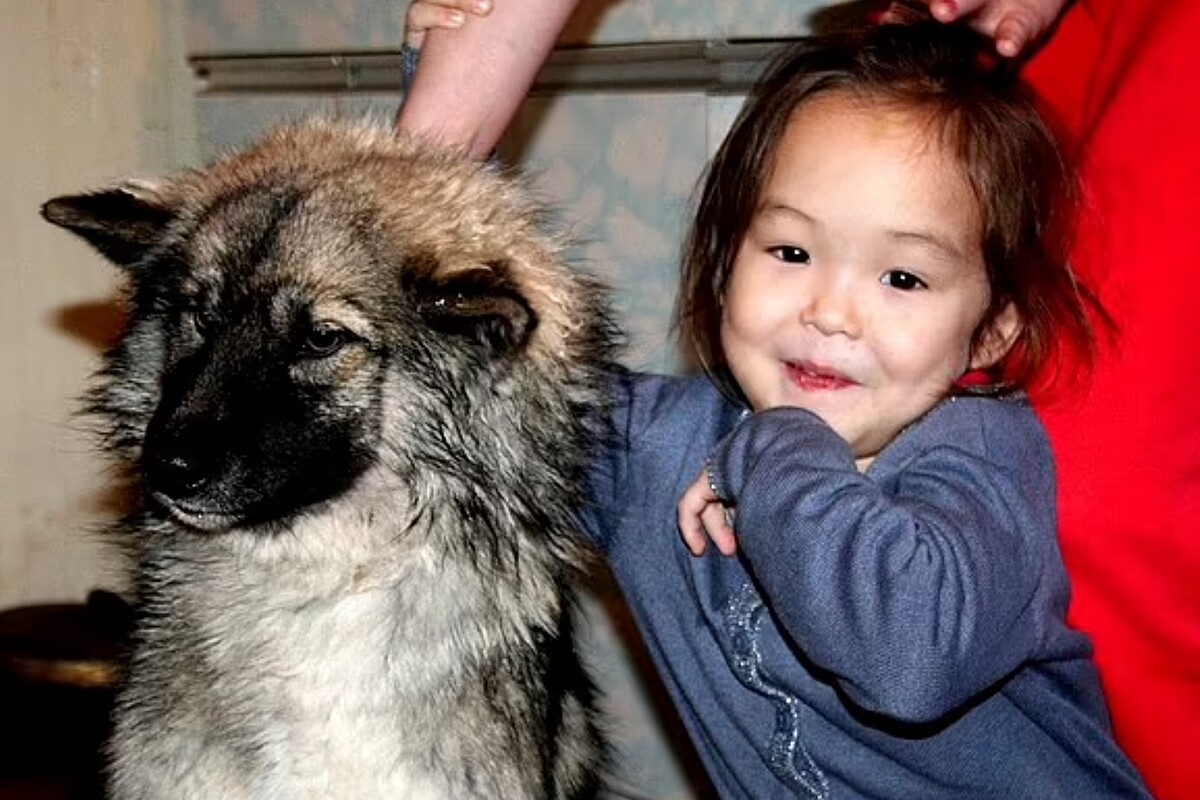 Menina russa que sobreviveu 11 dias na floresta graças à cadela hoje ...