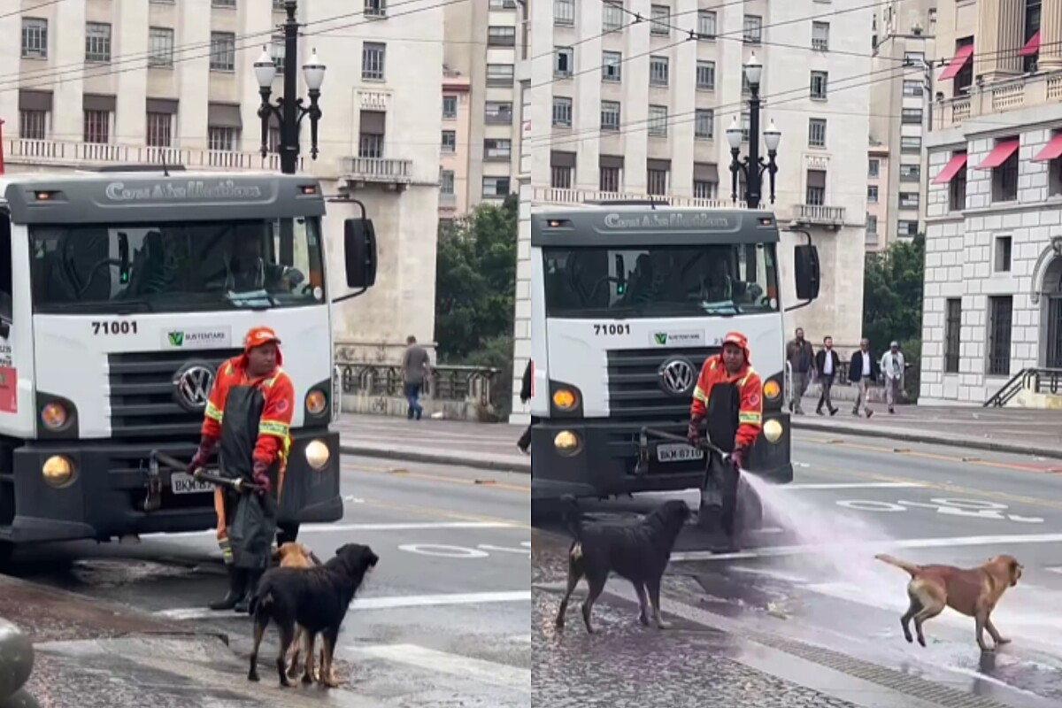 Em SP, jovem registra de longe atitude de gari com dois cães de rua e ...
