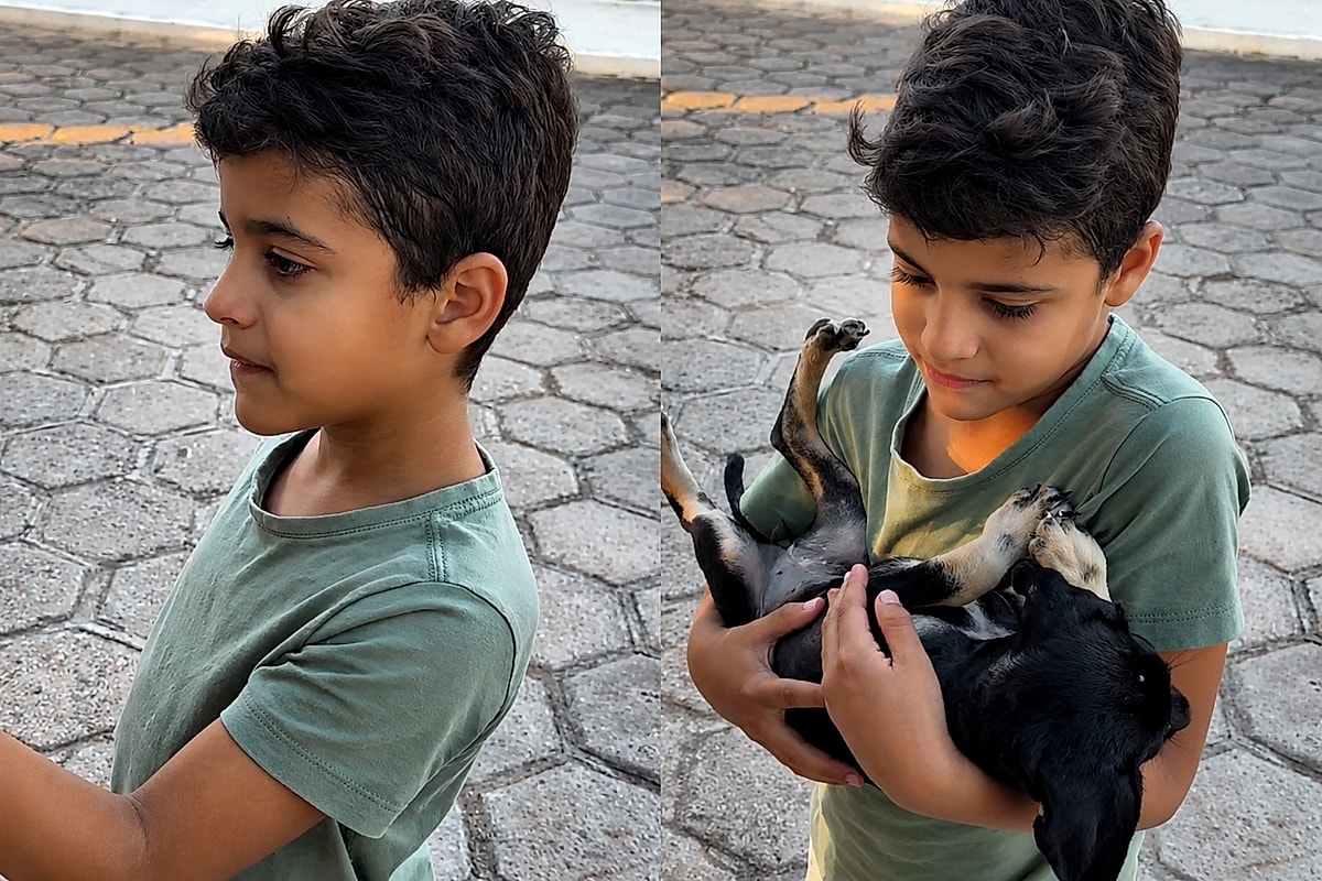 Menino recusa cães de raça e escolhe adotar a única cachorrinha que ...