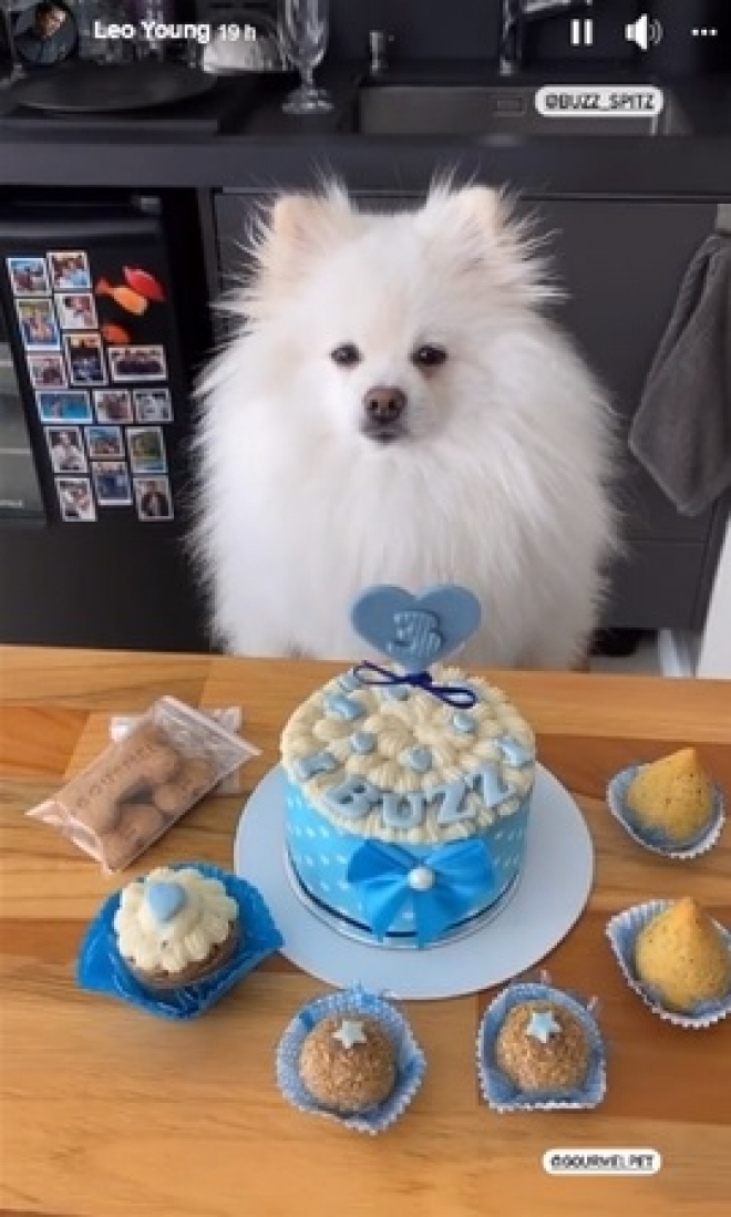 Leo Young, vencedor do MasterChef 2016, comemora aniversário de seu ...