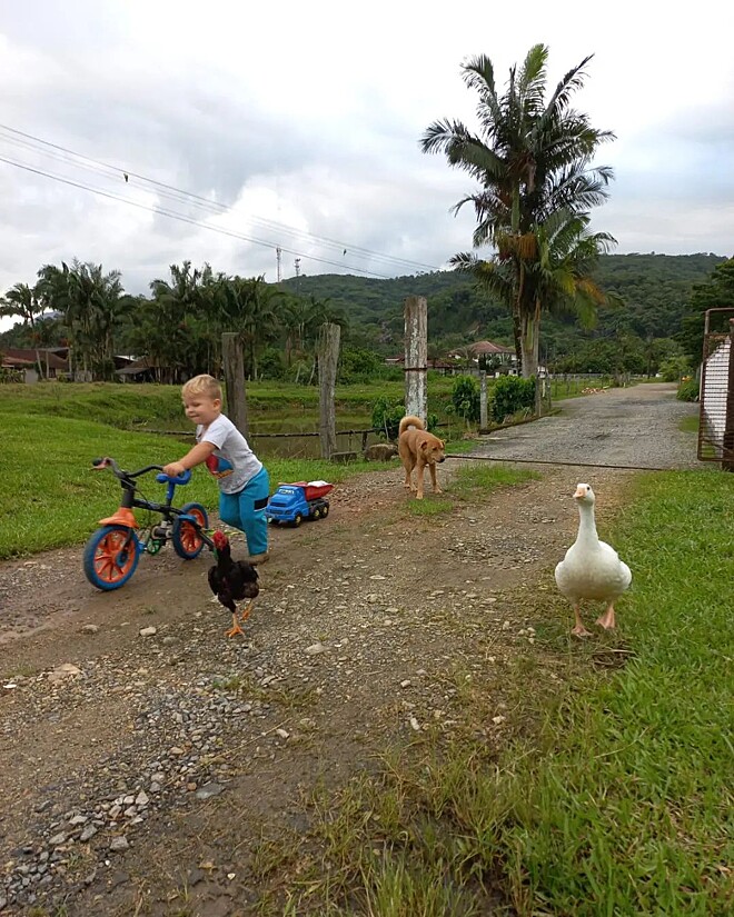 'Bebê campeiro' faz amizade com animais de fazenda e acumula milhares ...
