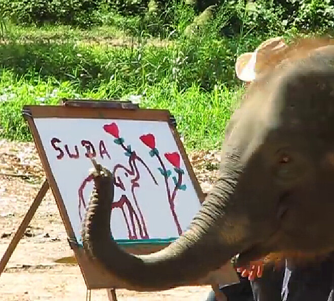 Em vídeo incrível, elefante pinta autorretrato e resultado fica ...
