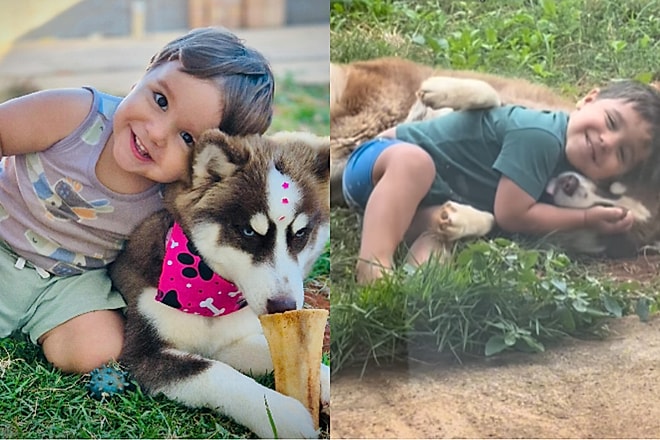 "Esse é Lucas, mais conhecido como Zé cachorrinho": Menino fica famoso ...